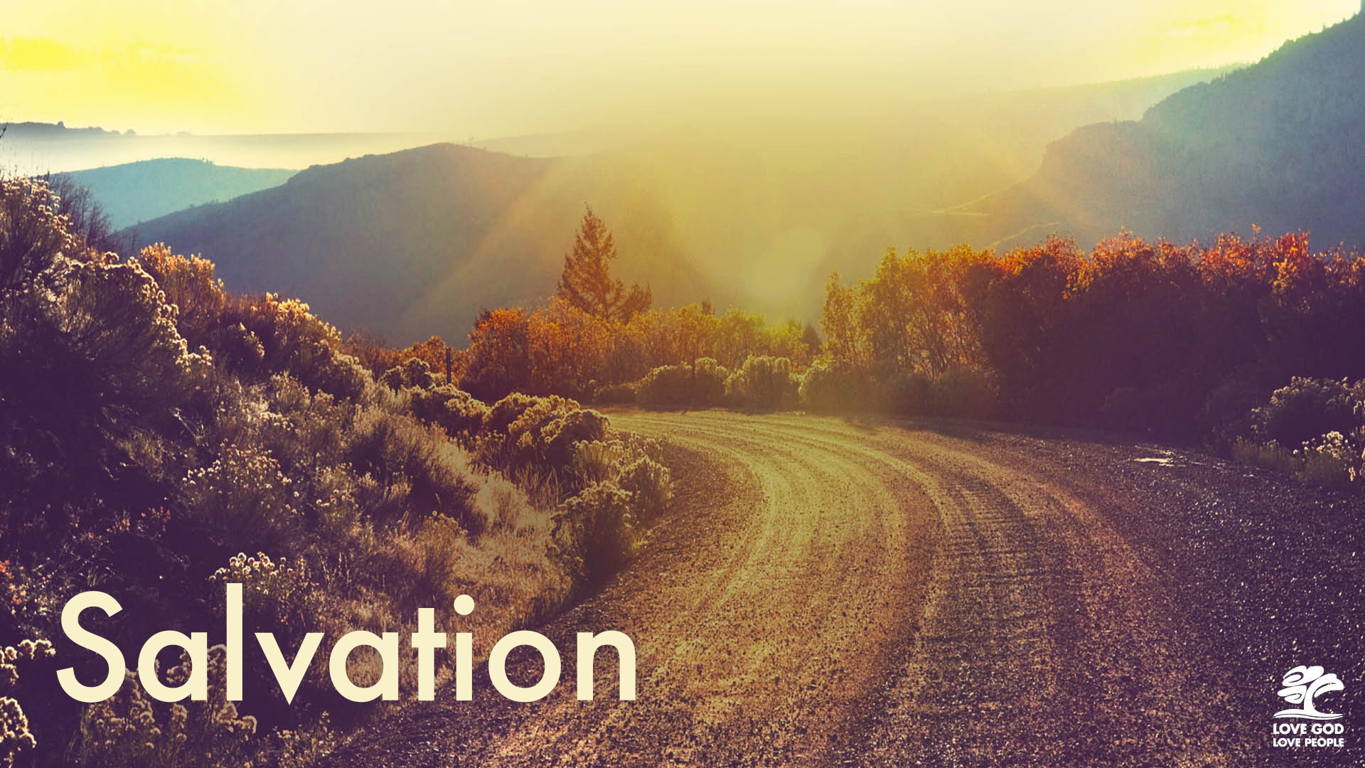 Salvation | Brookwood | Brookwood